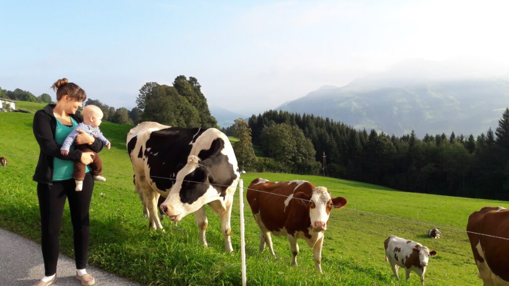 Visiting Germany With Kids: How To Plan Perfect Family Holidays in ...