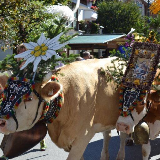 How To Make Radler Beer (German Lemon Beer) - WanderInGermany