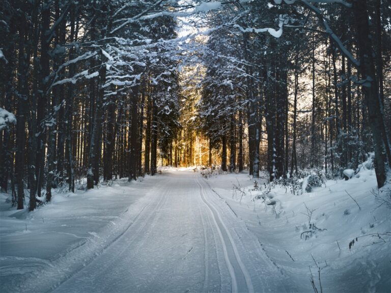 When is the Best Time to Visit Black Forest Germany (Weather ...