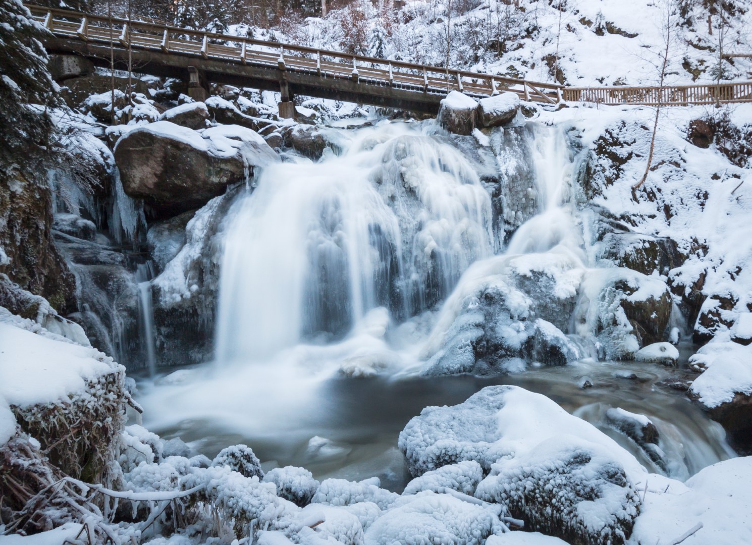 Everything to Know About Visiting the Triberg Waterfall and Other Black ...