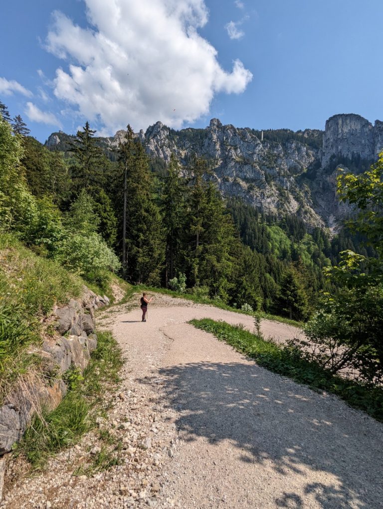 Tegelberg Hike with Neuschwanstein Castle Viewpoint to Tegelberg ...