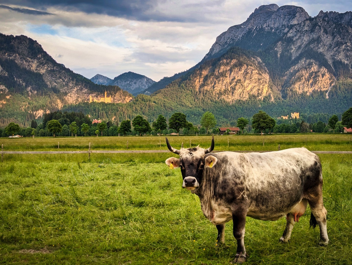 Are These 40 Must-Experience Activities in Germany On YOUR Bucketlist ...